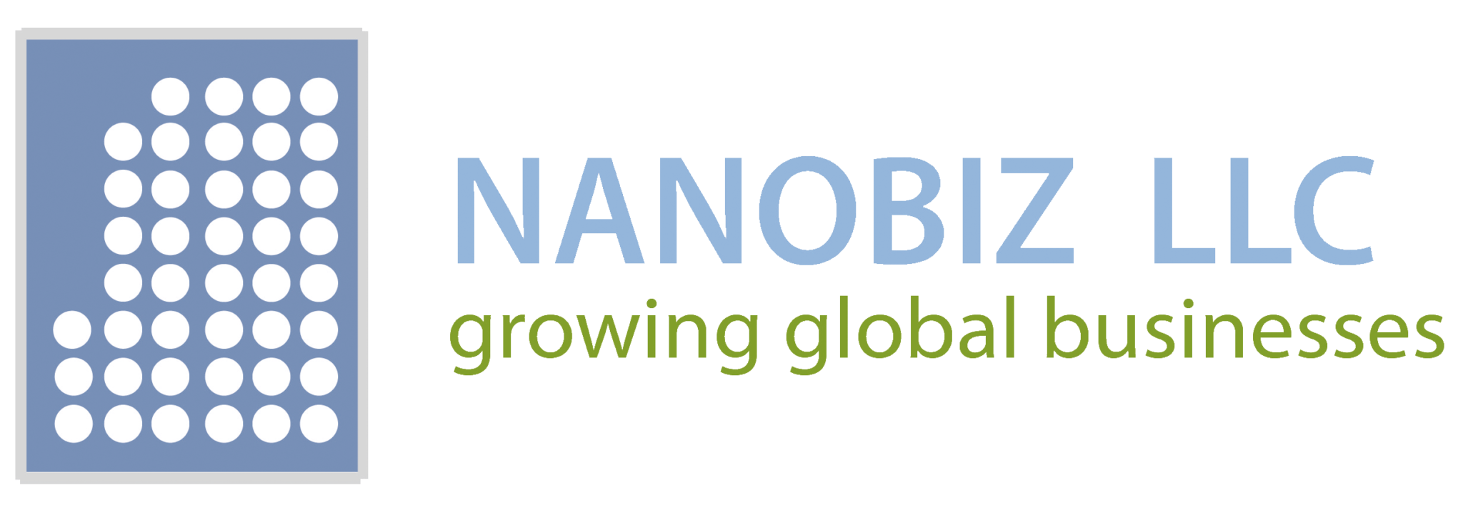 Nano Biz
